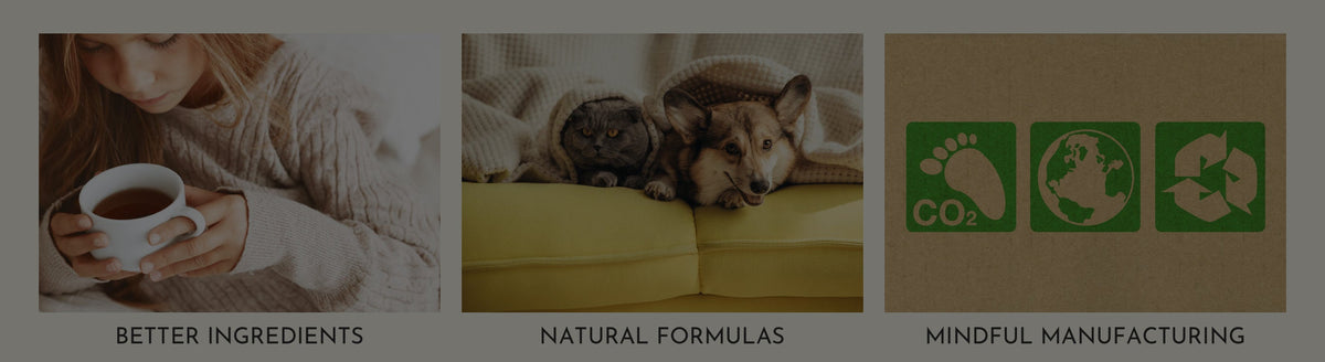 Ra Herbals - Single Herb Tinctures, St Anky Flowers – tagged ...