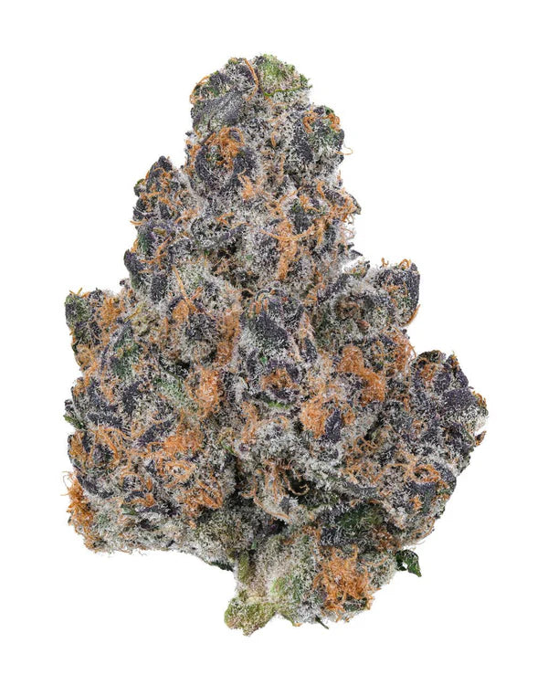 Flower – St. Anky Flowers